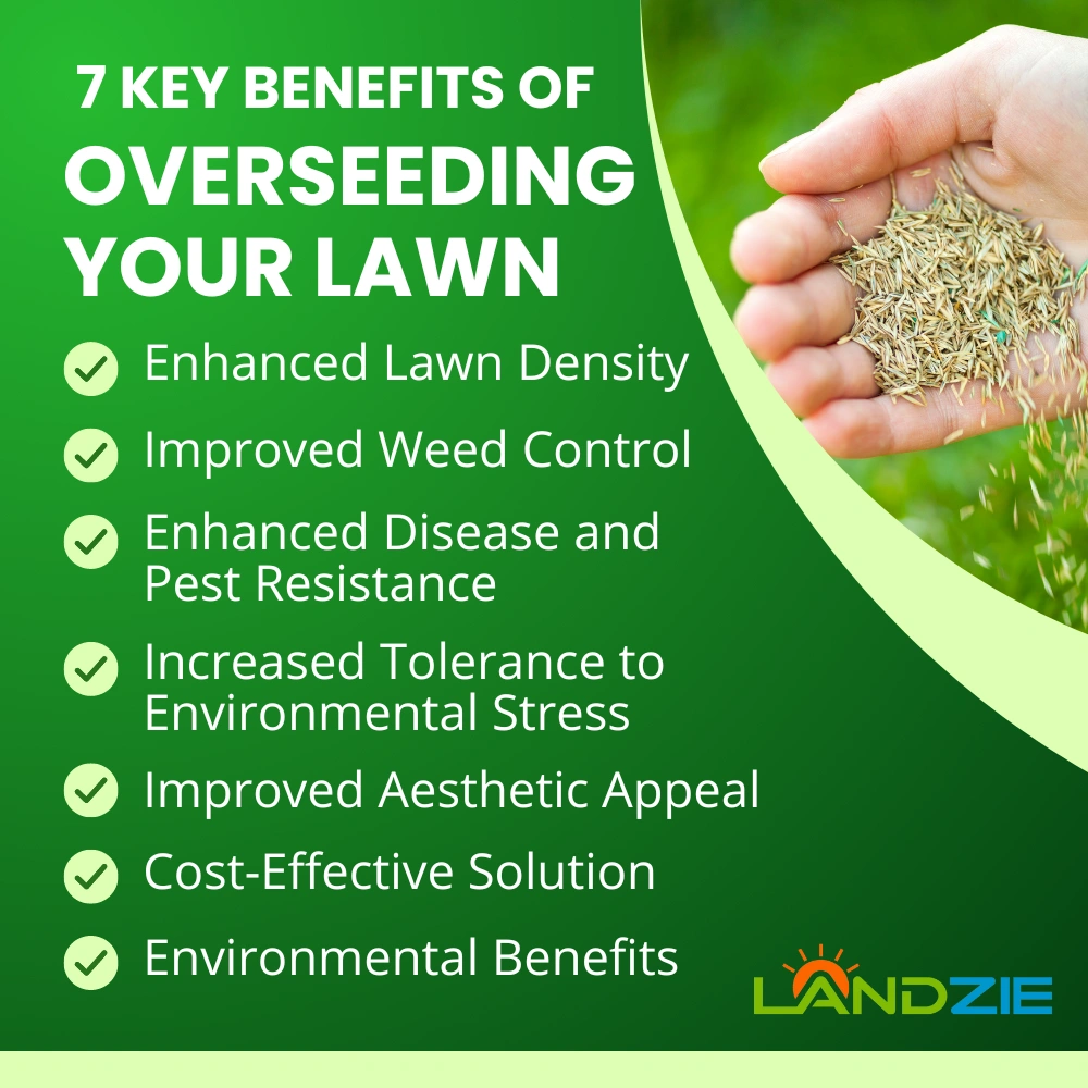 Benefits of Overseeding. 7 Key Benefits of Overseeding Your Lawn