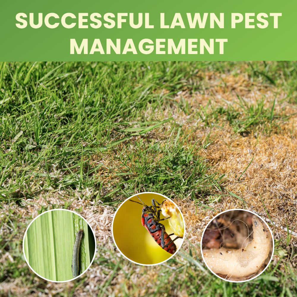 Lawn pest control store