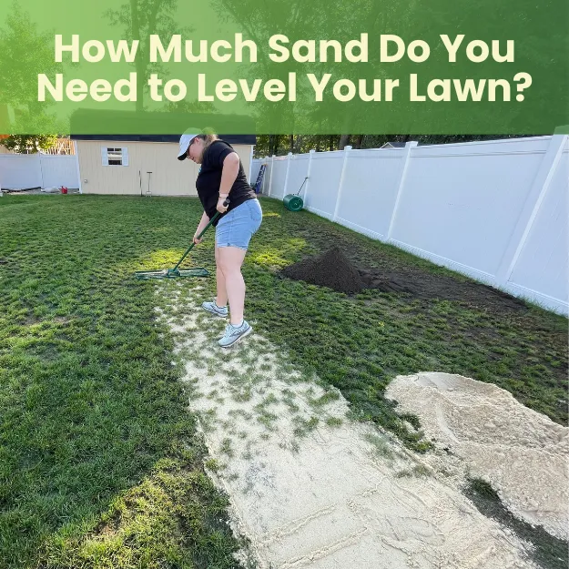 Level lawn with sand store