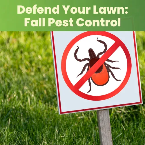 Pest Control - Defend Your Lawn: Fall Pest Control