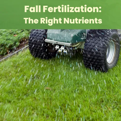 Fall Fertilization: The Right Nutrients - A Comprehensive Guide - Landzie Fall Fertilization: The Right Nutrients - A Comprehensive Guide - Landzie