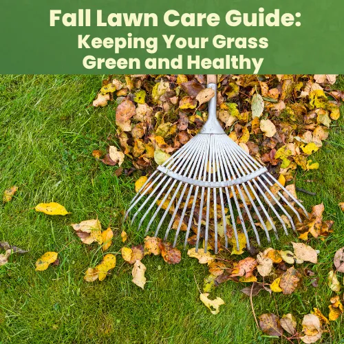 Fall Lawn Care Guide: Keeping Your Grass Green and Healthy - Landzie