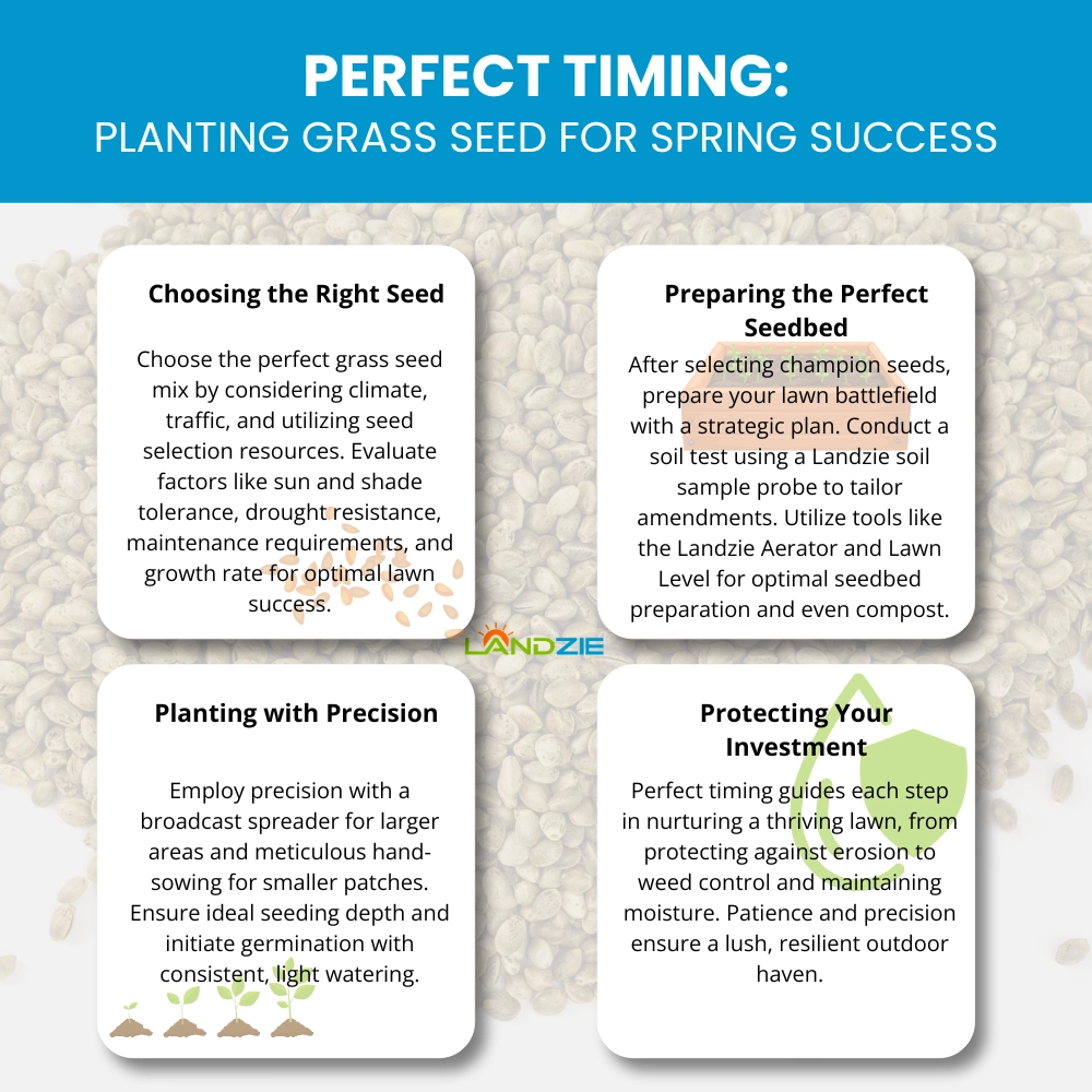 Best time to seed the lawn store