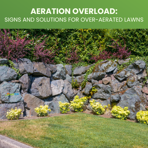 Aeration Overload: Signs and Solutions for Over-Aerated Lawns - Landzie