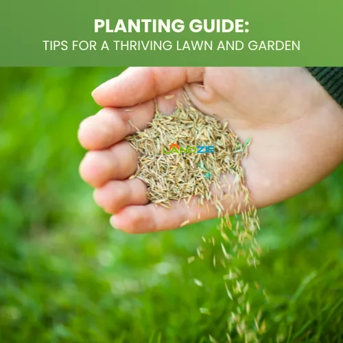 Planting Guide: Tips for a Thriving Lawn and Garden - Landzie