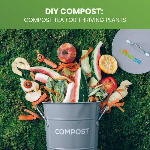 Diy Compost Compost Tea For Thriving Plants Landzie
