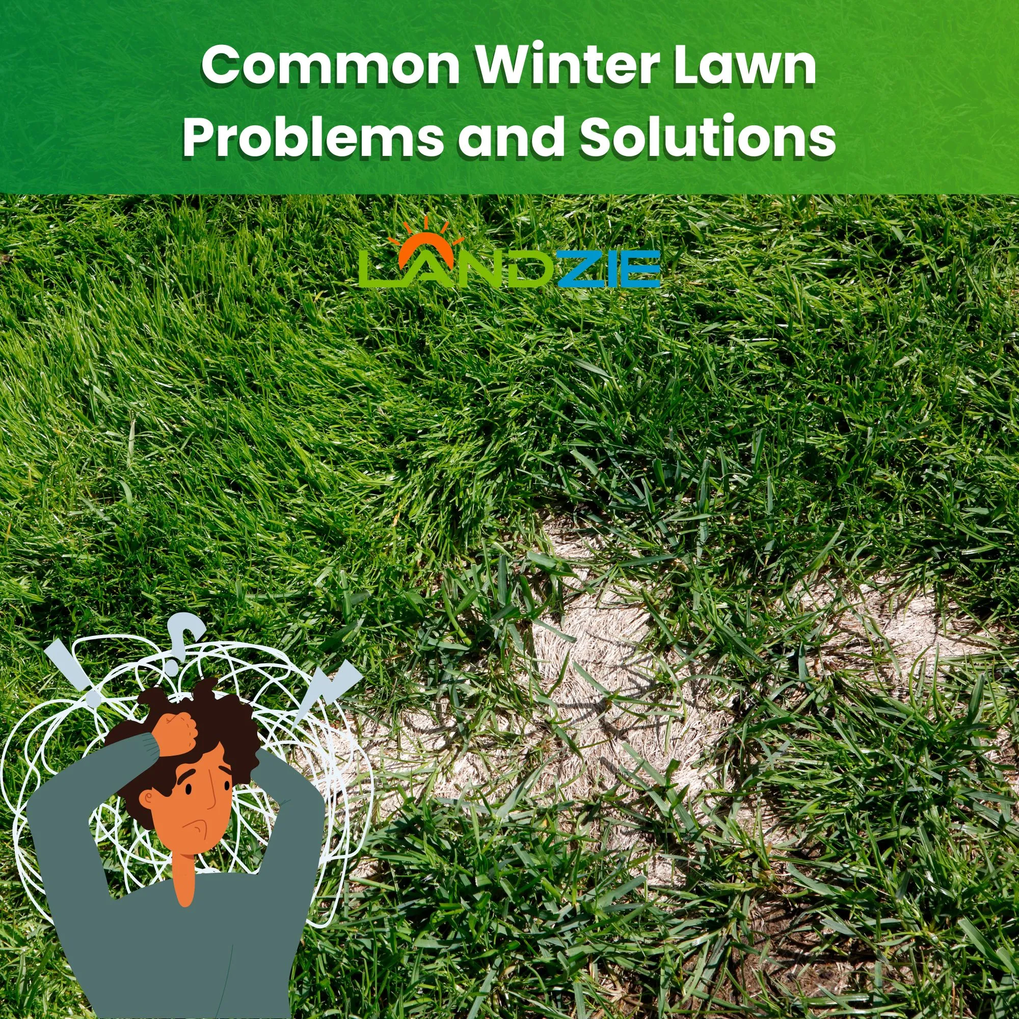 Common Winter Lawn Problems and Solutions - Landzie