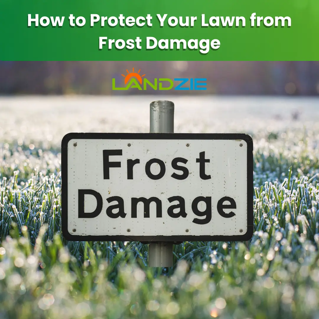 How to Protect Your Lawn from Frost Damage - Landzie