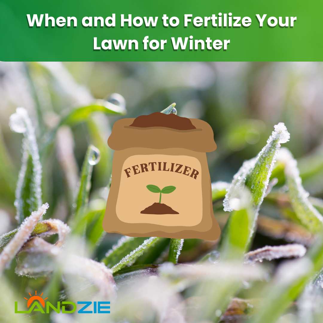 Fertilize lawn in winter store