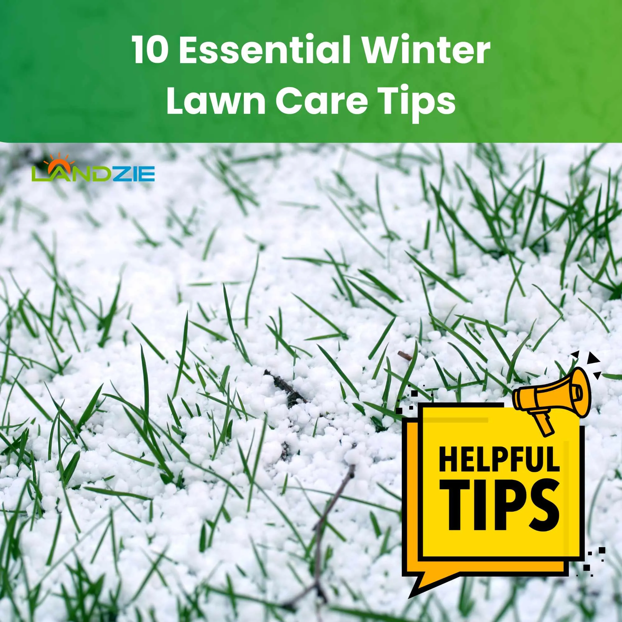 10 Essential Winter Lawn Care Tips - Landzie