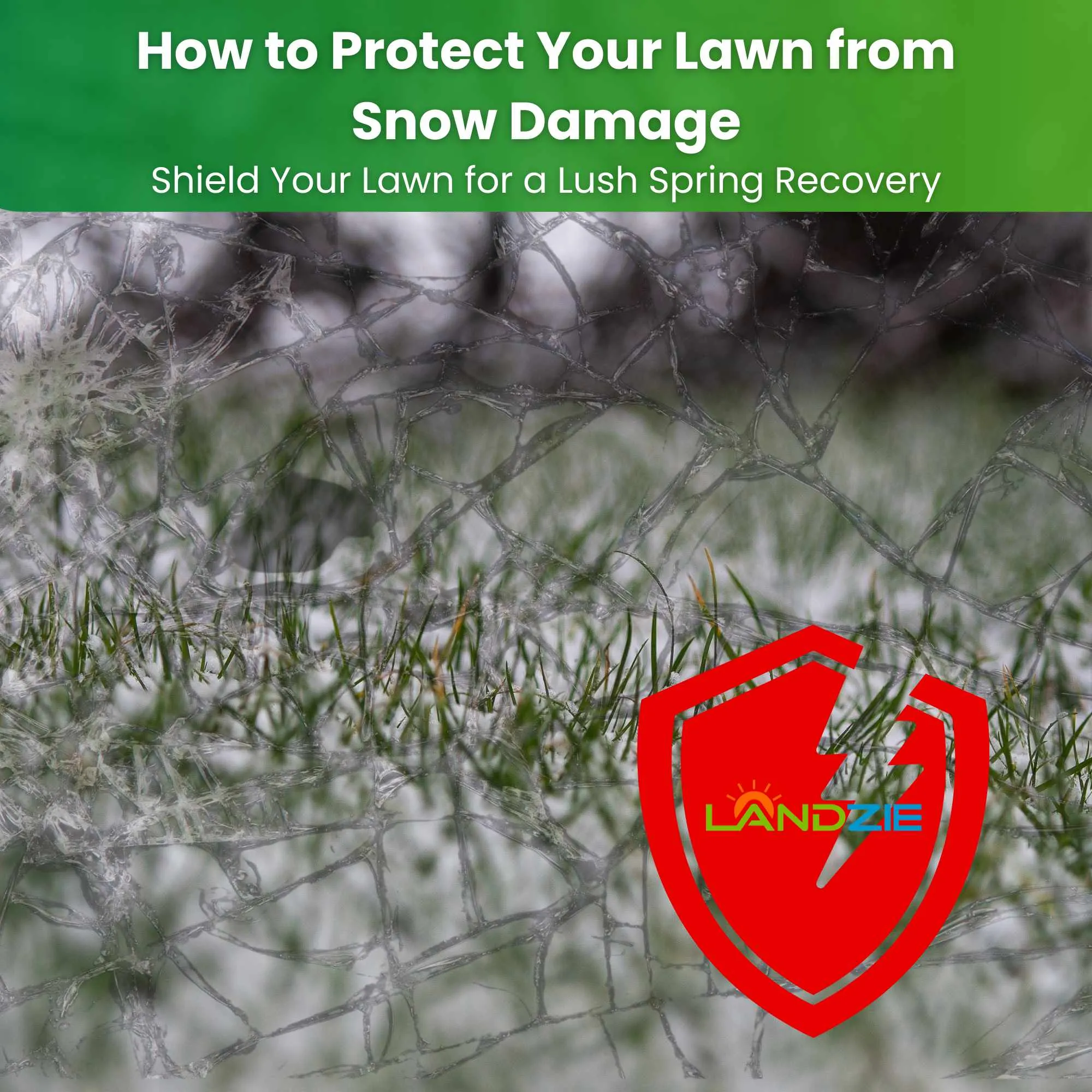 How to Protect Your Lawn from Snow Damage - Landzie