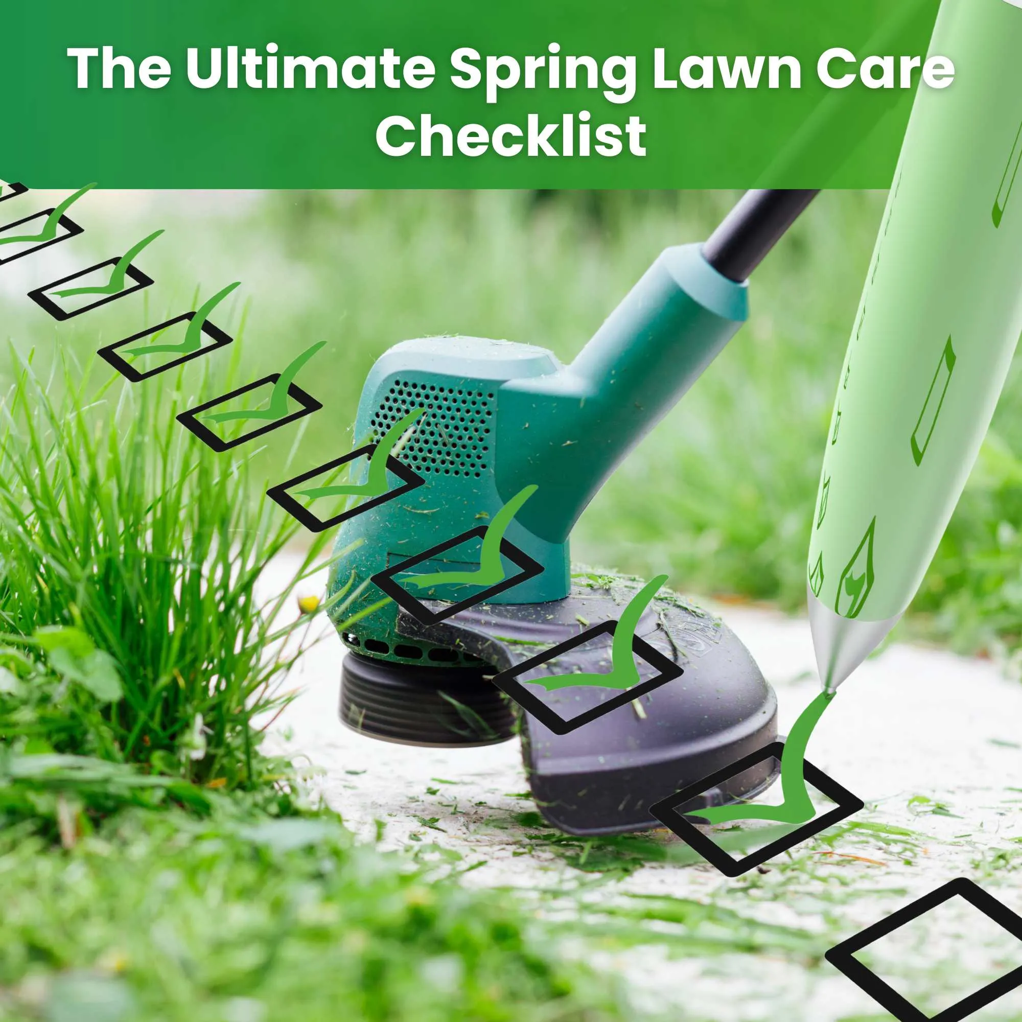 Spring Lawn Care Checklist - Landzie