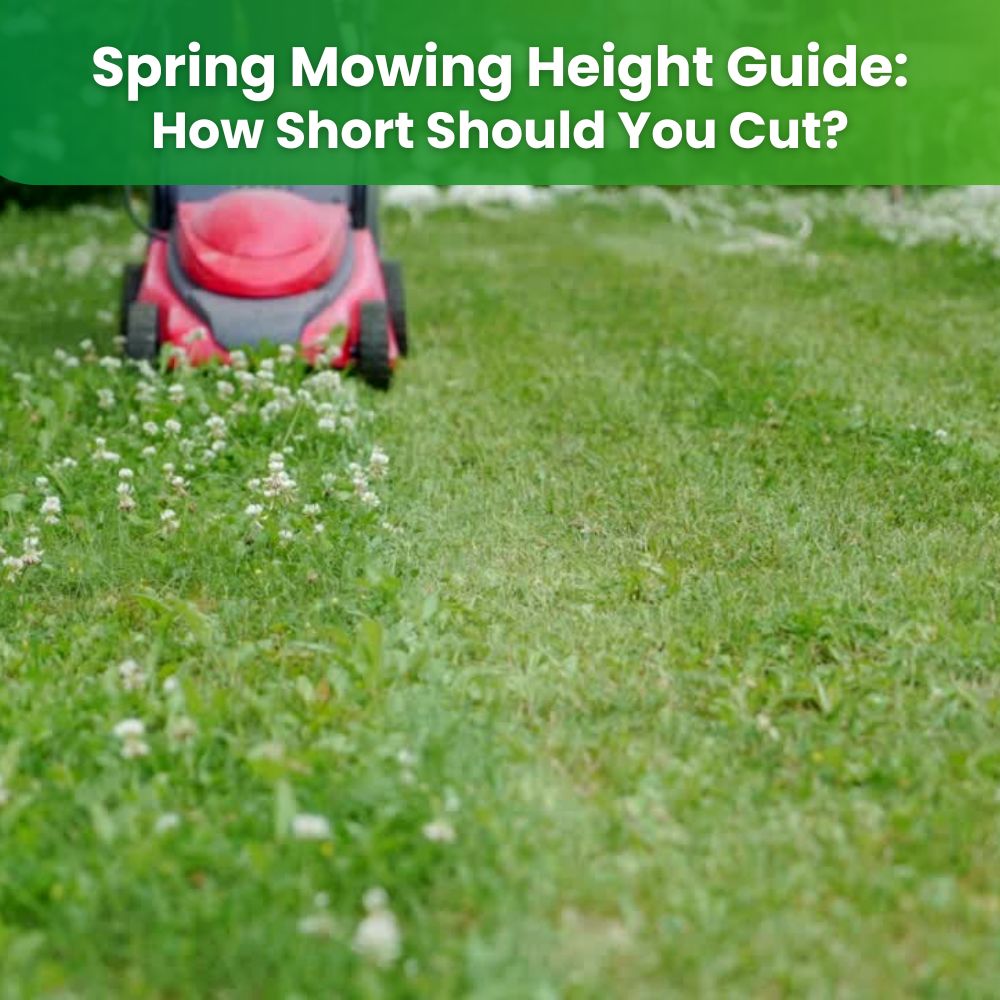 Spring Mowing Height Guide: How Short Should You Cut? - Landzie