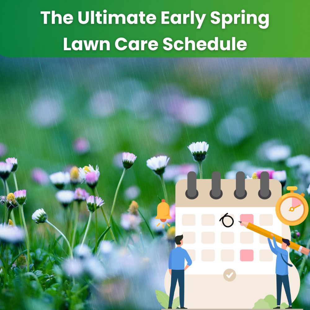The Ultimate Early Spring Lawn Care Schedule - Landzie