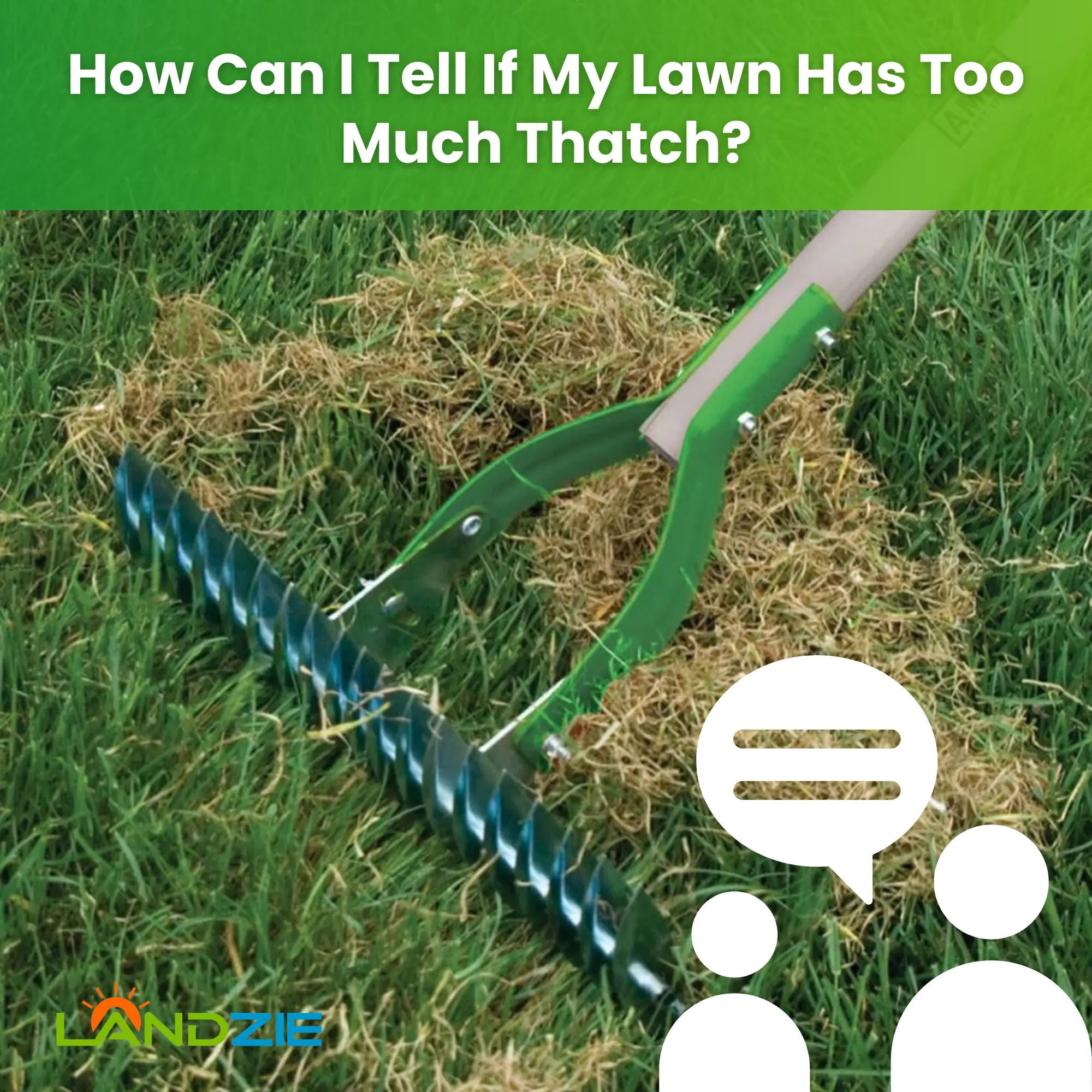 How Can I Tell If My Lawn Has Too Much Thatch? - Landzie